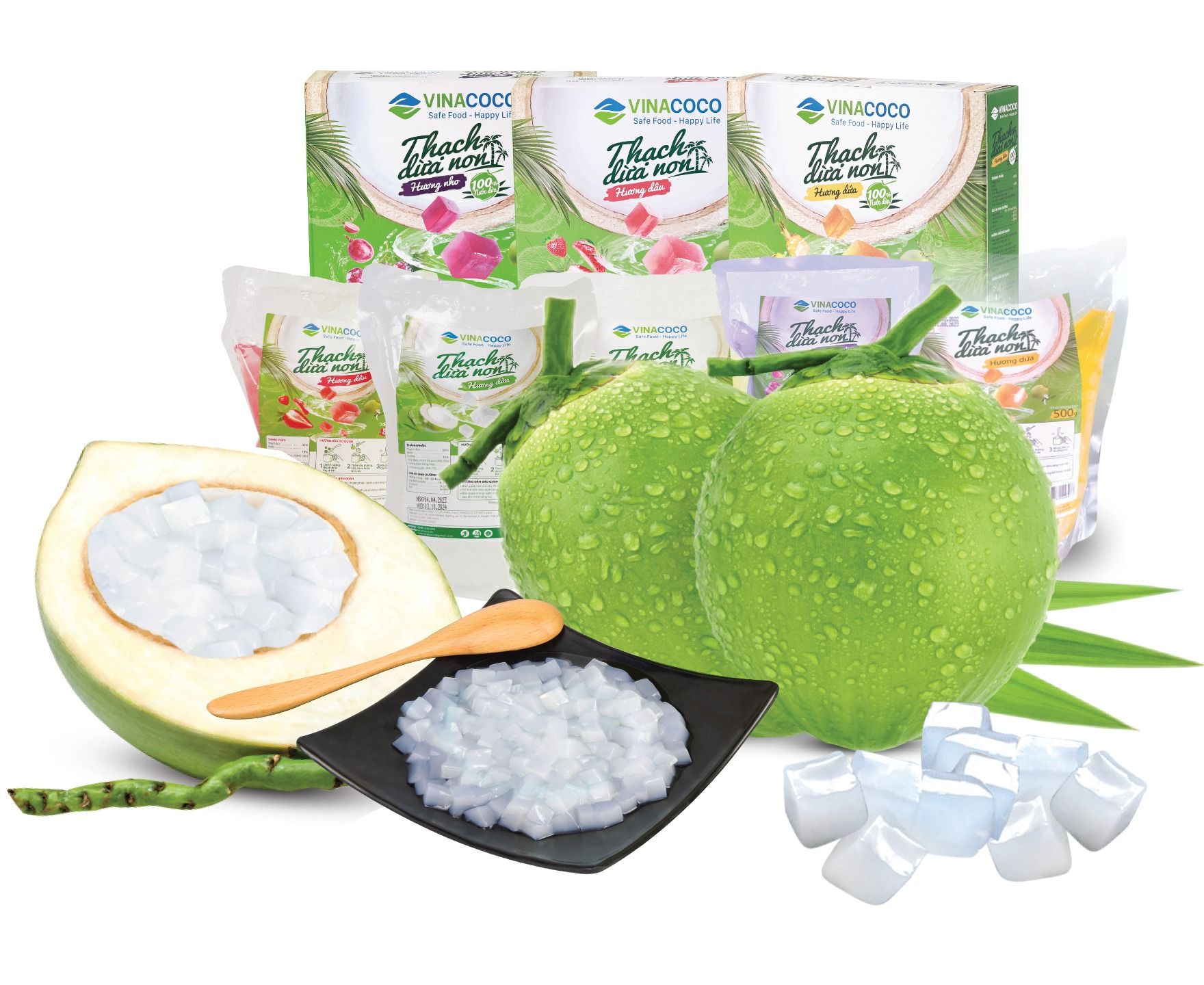 Sustainable Development of the Coconut Industry - GC Food